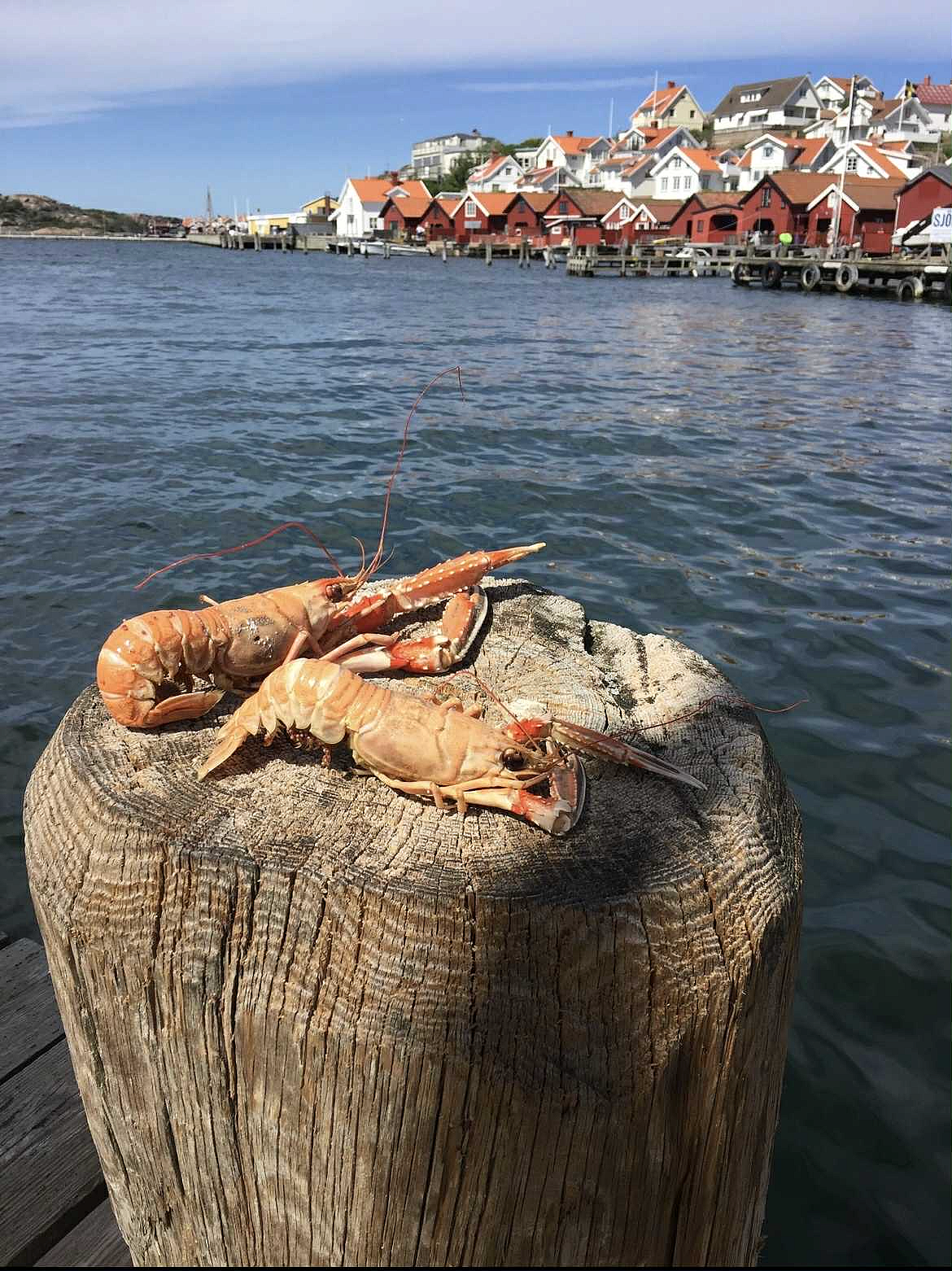 Området runt Tanum Strand | Brf Berghälllen